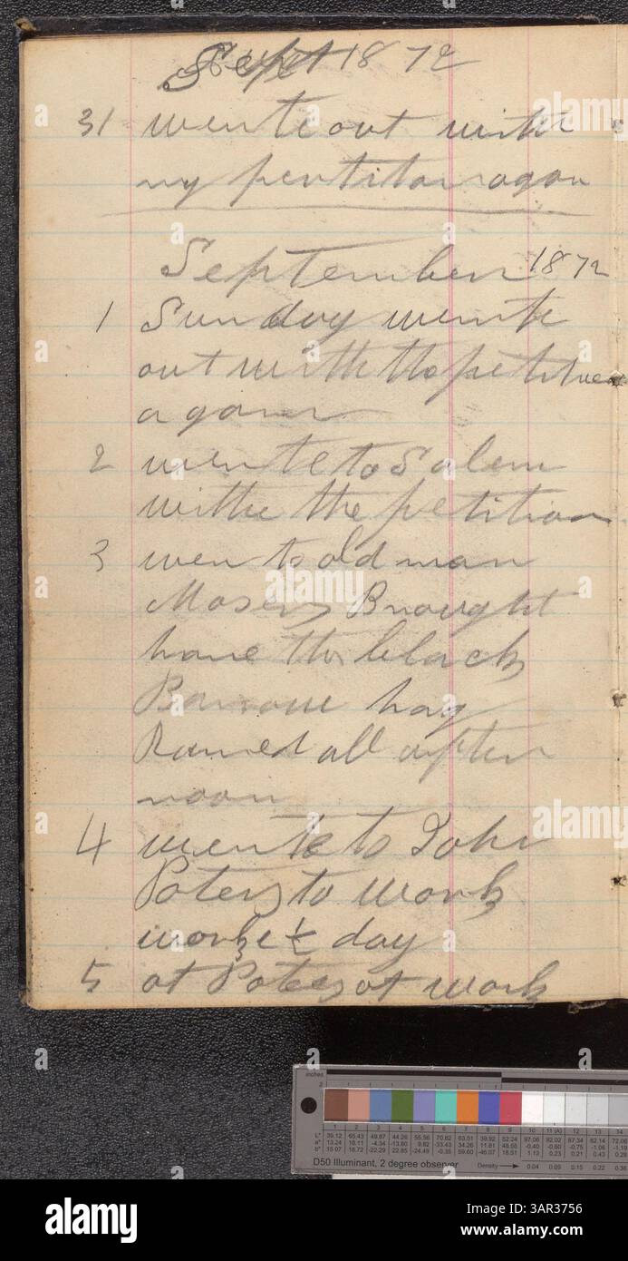 Spanning from June 1872 to September 1874, this diary includes daily ...