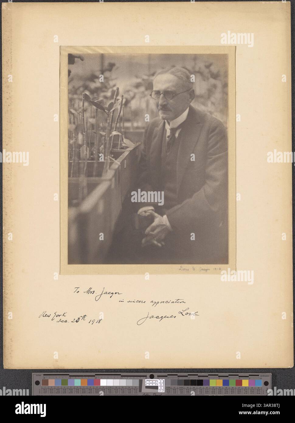 Photograph from the Doris Ulmann collection of Jacques Loeb, part of ...
