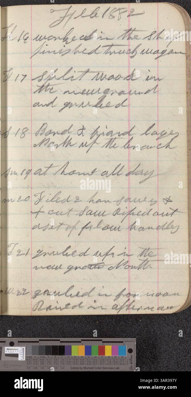 This diary, from August 1, 1880 to January 4, 1884, contains daily ...