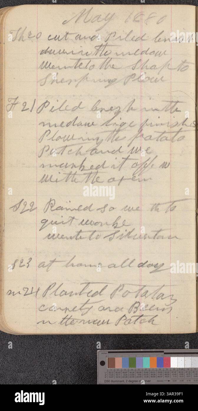 The diary, spanning from April 15, 1879, to July 31, 1880, offers daily ...