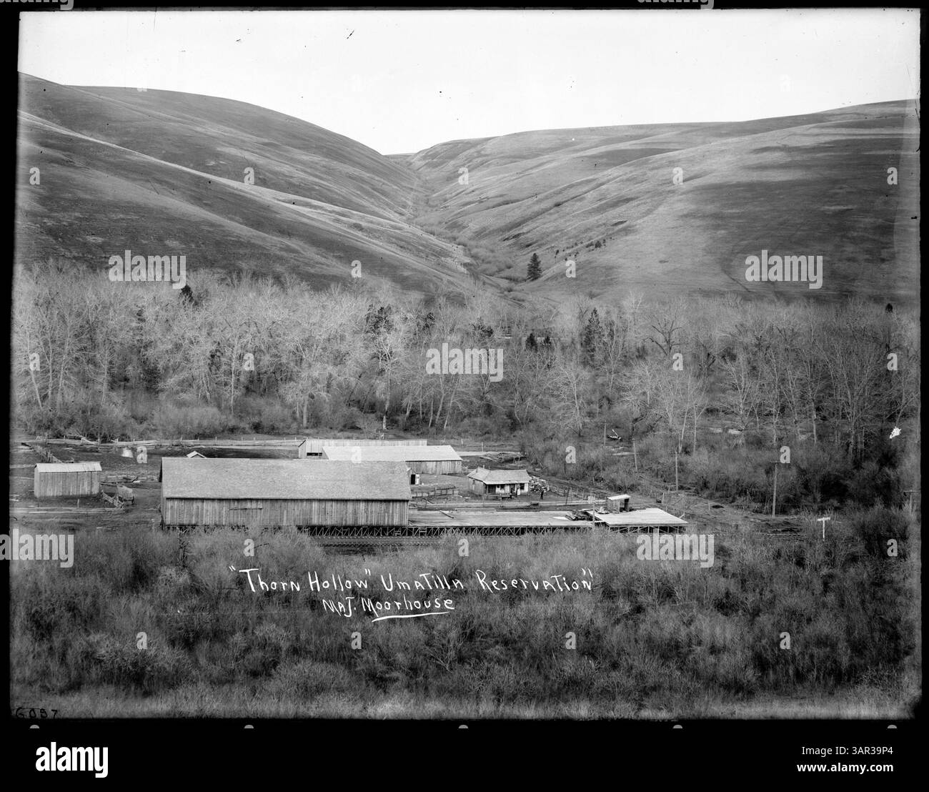 Two trees public house hi-res stock photography and images - Alamy