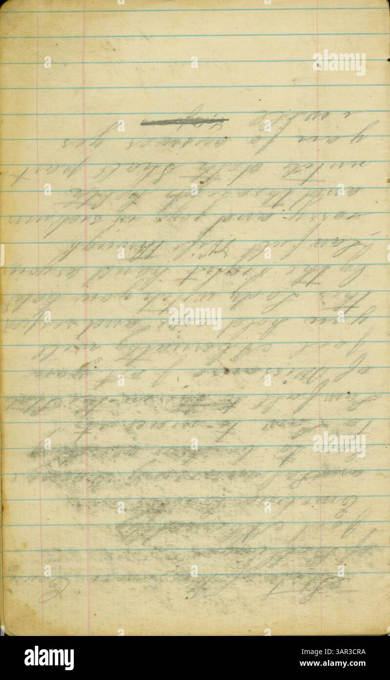 The note and account book of Erich Pape from 1866 is a detailed account ...