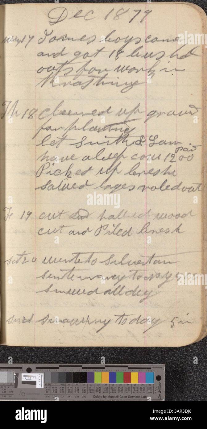 This diary covers entries from April 15, 1879, to July 31, 1880 ...