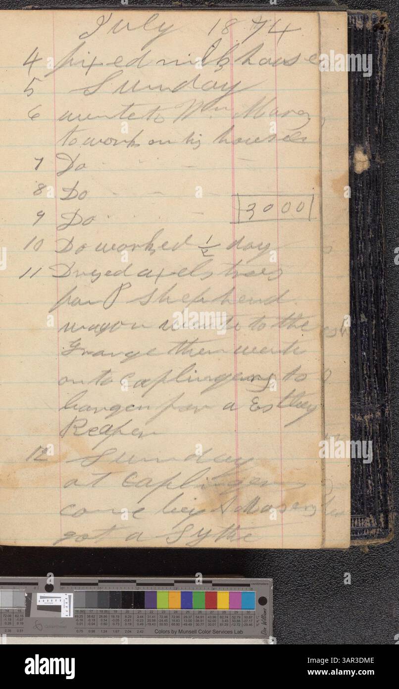 This diary from June 24, 1872, to September 30, 1874, documents daily ...