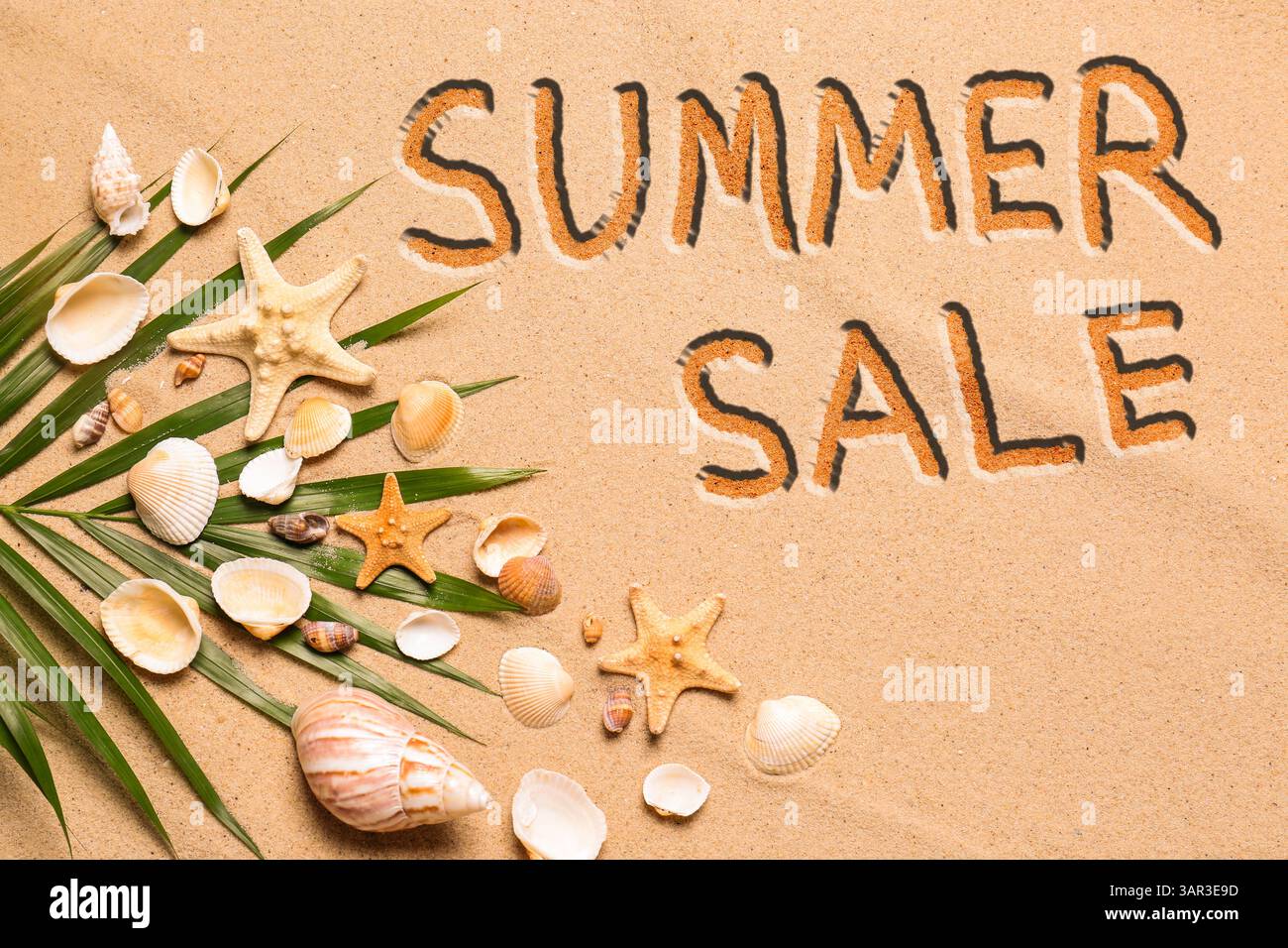 Seasonal discount flyer. Words Summer Sale, shells, sea stars and palm ...