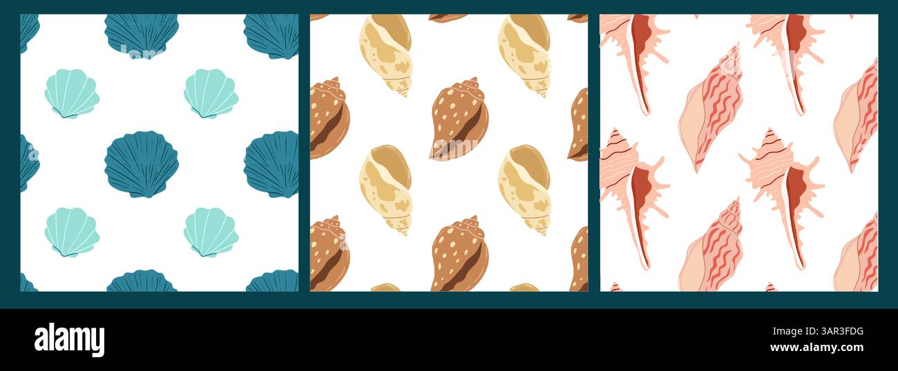 Shell patterns in vibrant colors highlighting marine life on a white ...