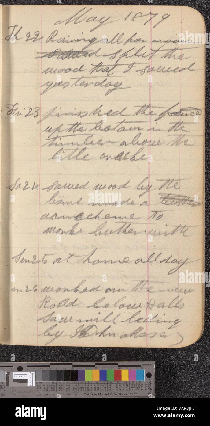 This diary features daily entries from April 15, 1879, to July 31, 1880 ...