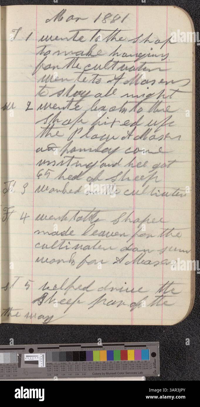This diary from August 1, 1880, to January 4, 1884, consists of ...