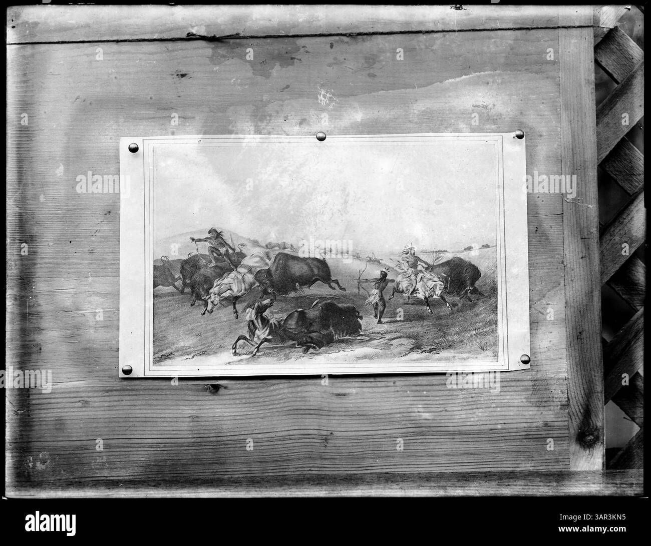 This copy negative captures a tribal bison hunt, documenting an ...
