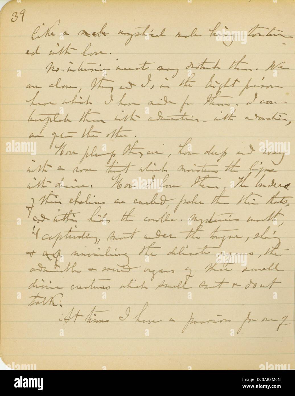 Kate Chopin's 'Impressions' manuscript (1894-1895) includes diary ...