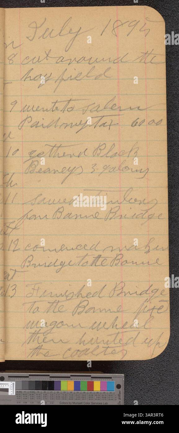 Diary entries from 1894-1897 documenting daily activities, financial ...