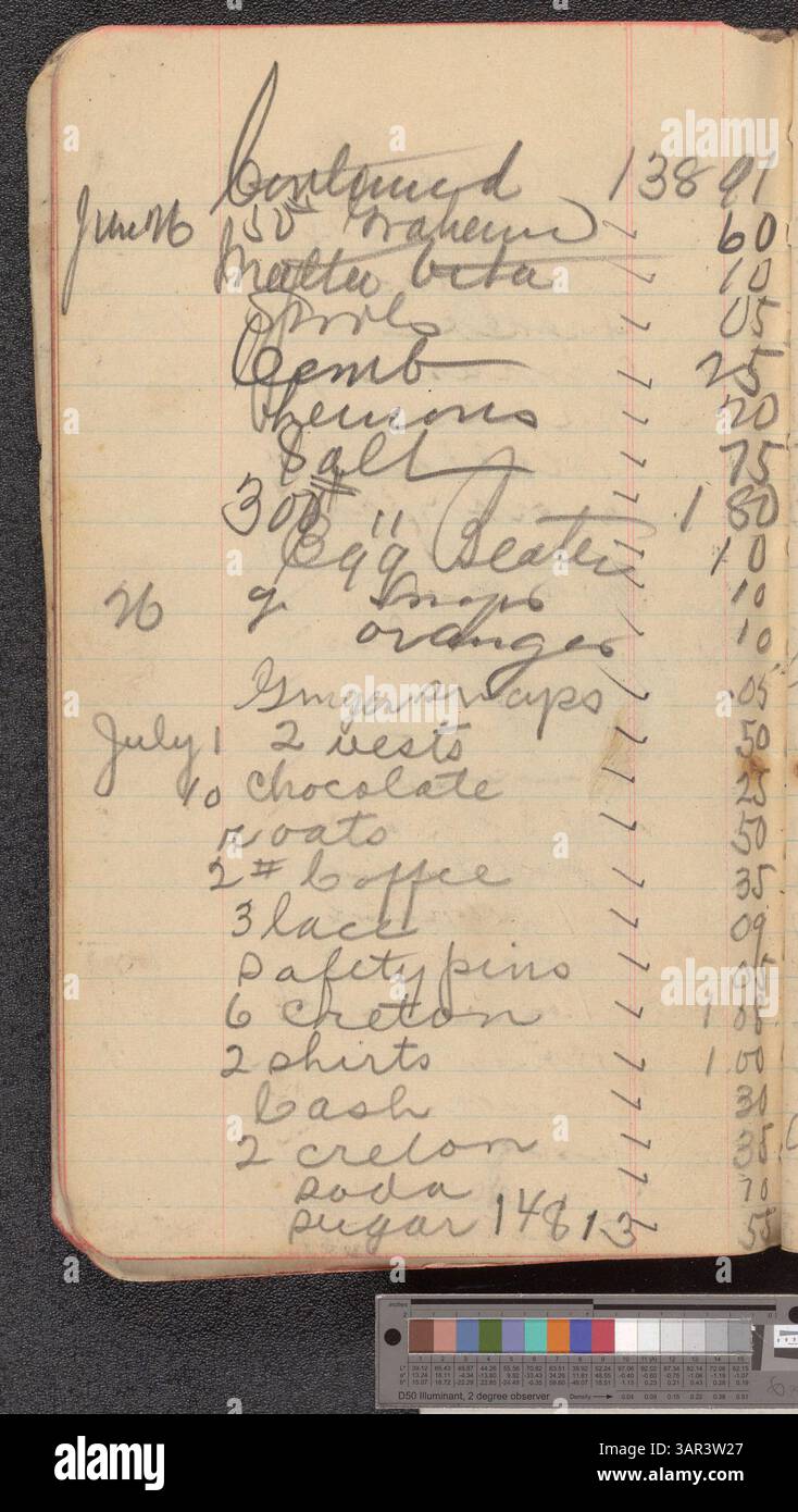 This diary contains entries from January 8, 1904 to January 20, 1906 ...
