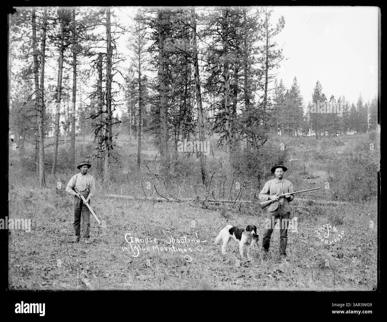 This photograph depicts two men accompanied by a dog during a grouse ...