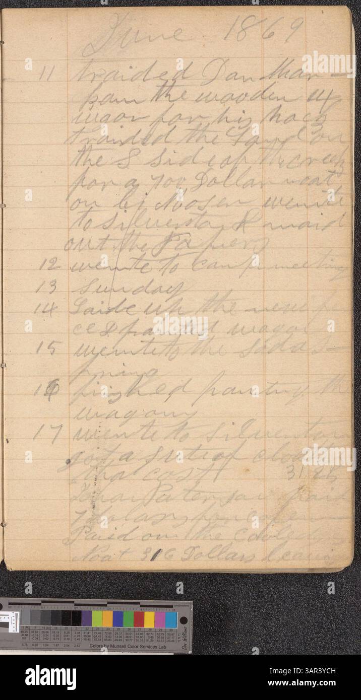 The 1868-1869 diary provides a personal account of daily activities ...