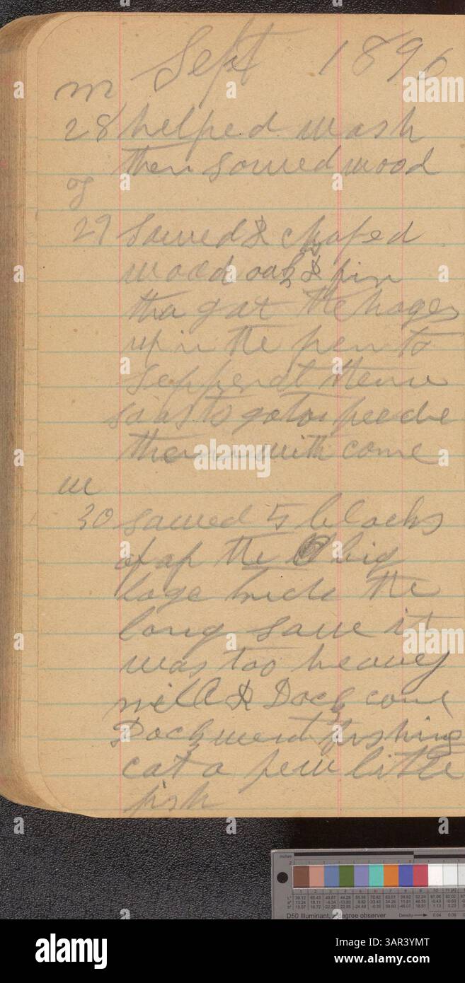 Diary from July 20, 1894 to April 30, 1897, documenting daily ...