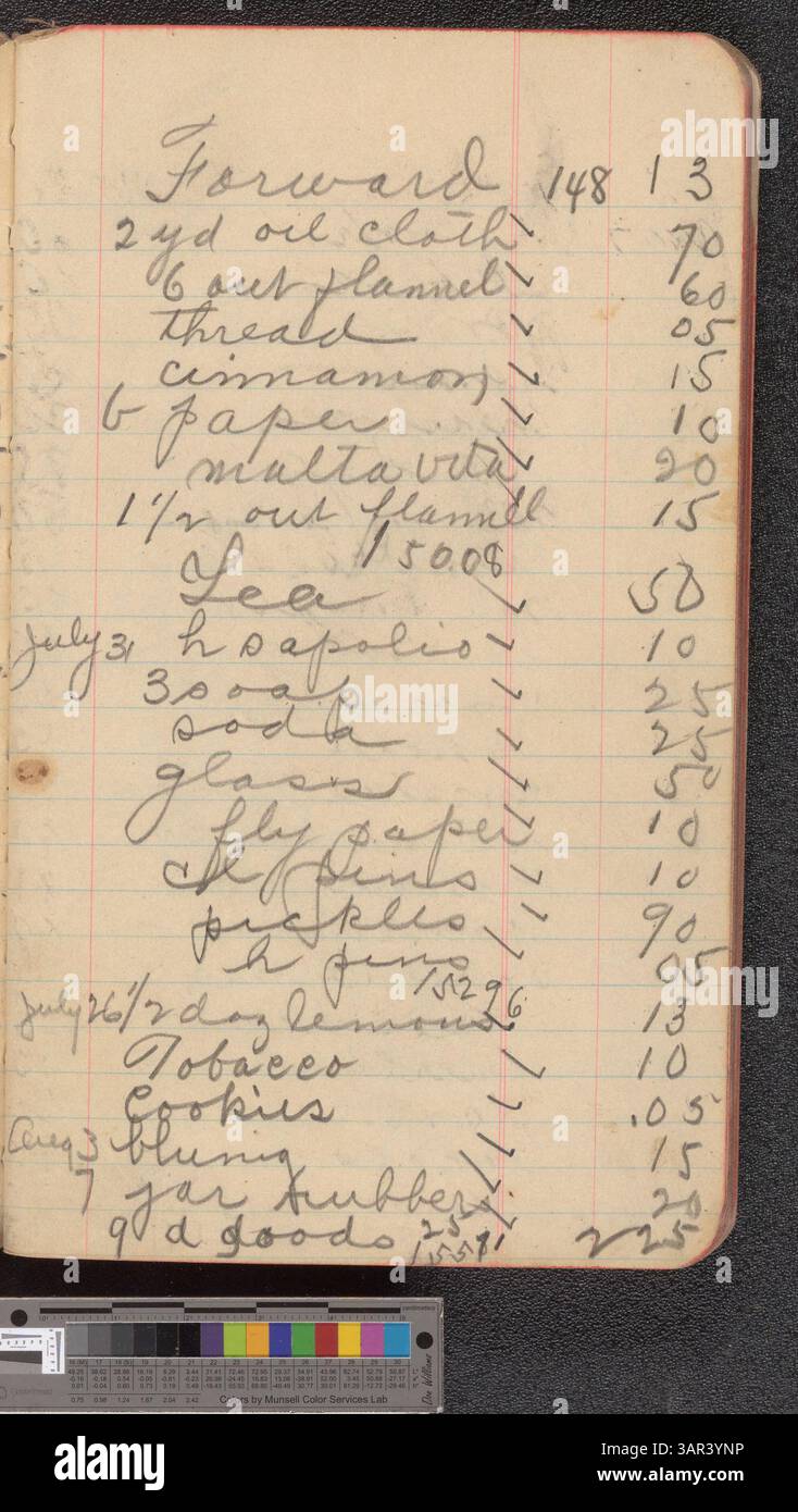 This diary includes daily activities, financial records, and occasional ...