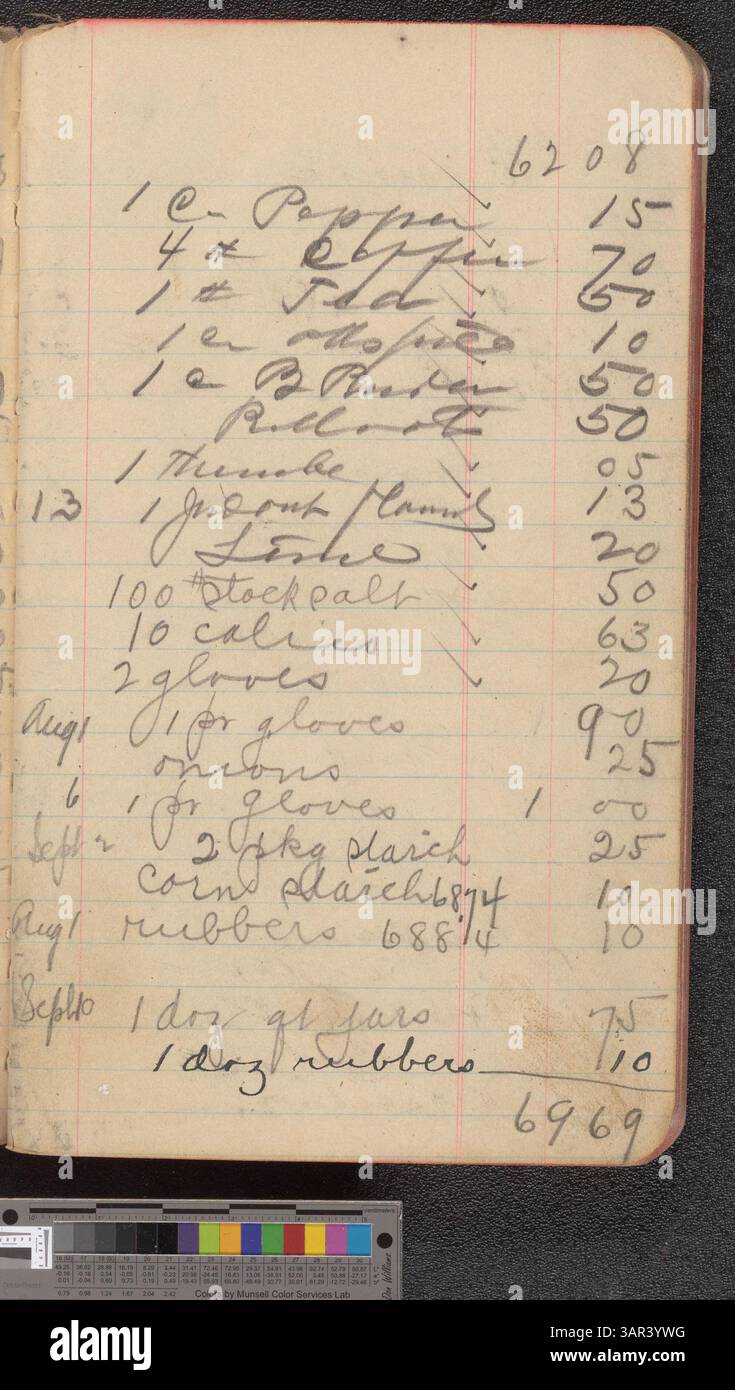 Diary covering the period from January 8, 1904 to January 20, 1906 ...