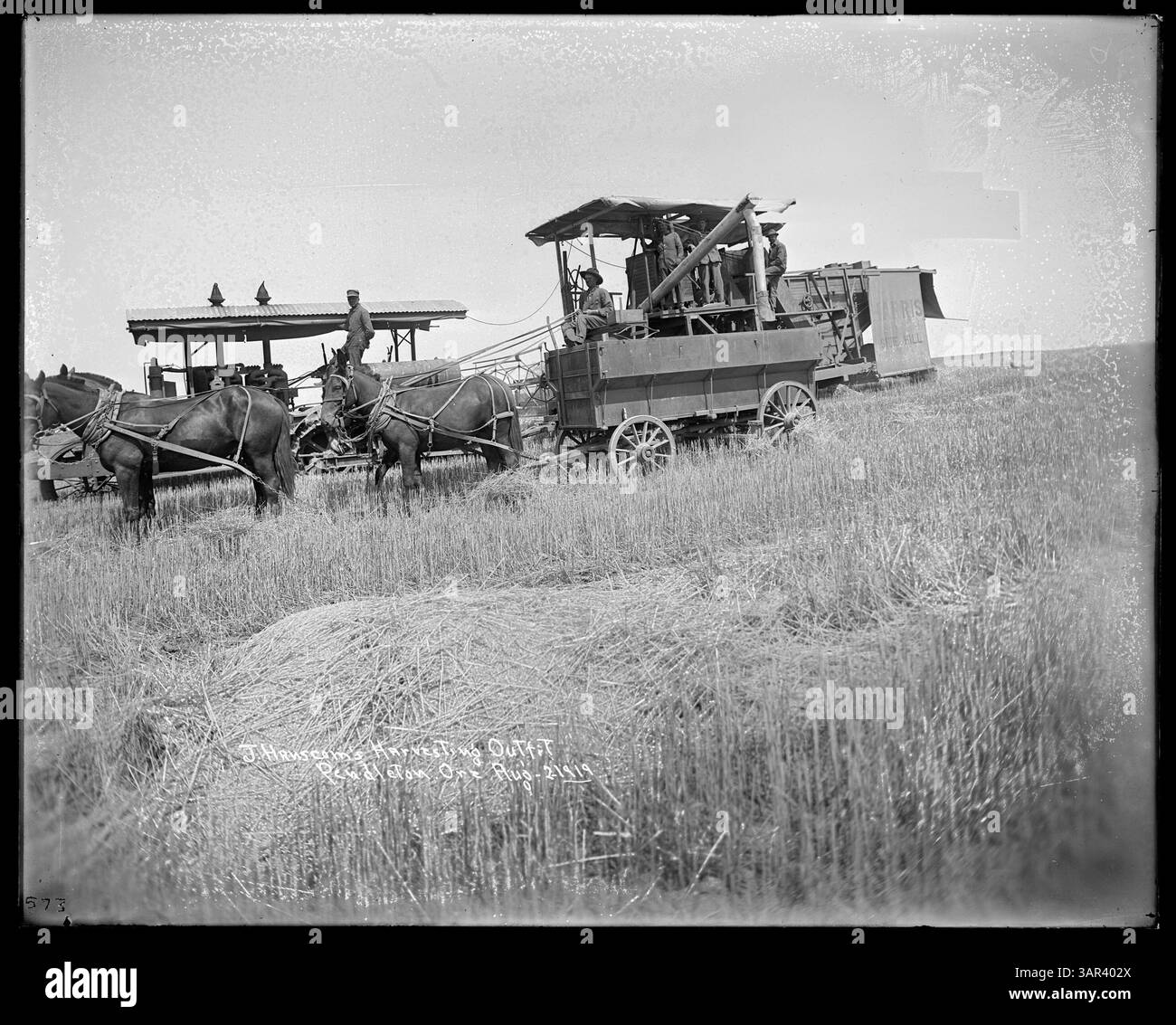 This photograph shows an oil tractor-drawn Harris side-hill combine ...