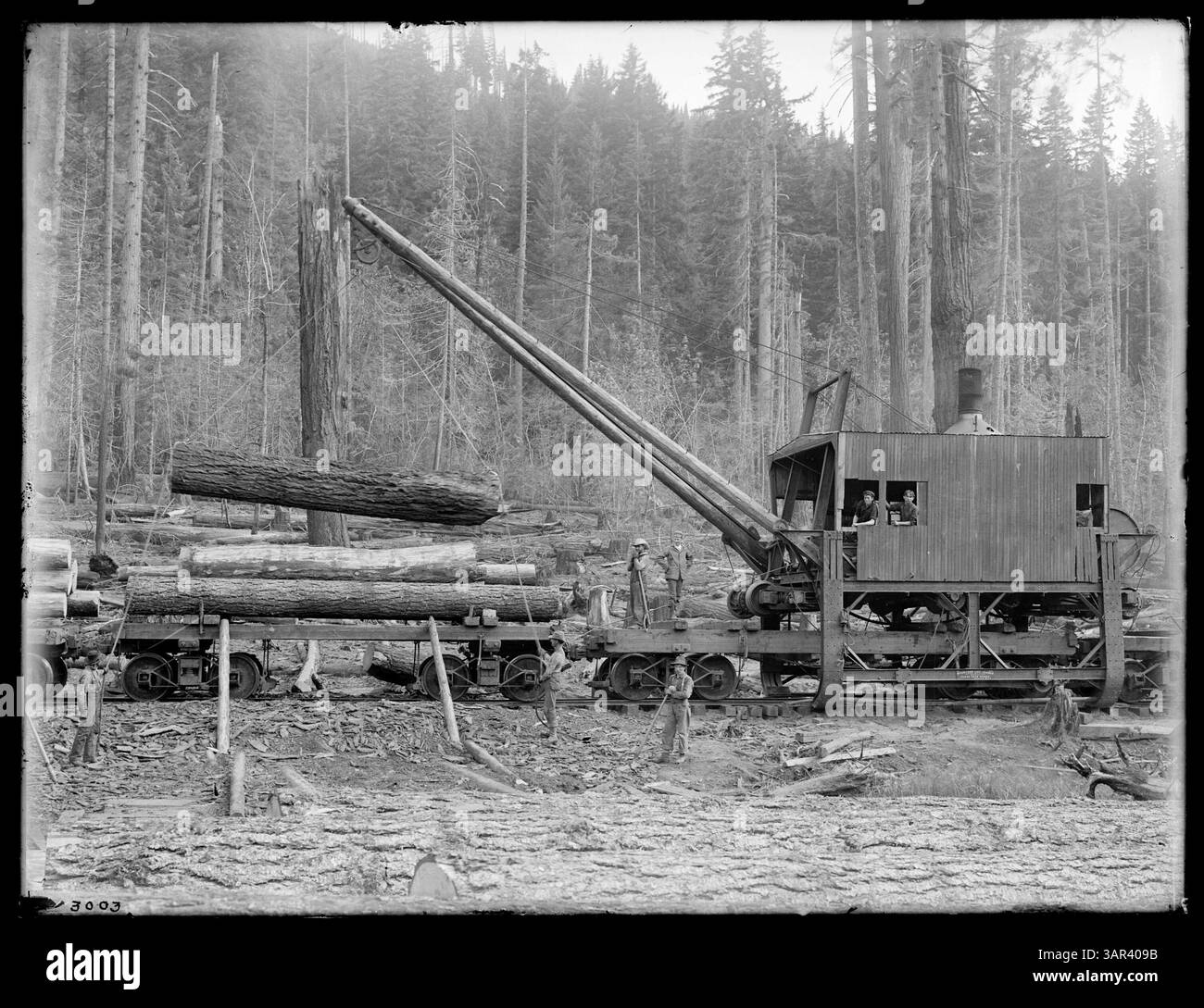 Photograph by Lee Moorhouse showing a Giffert log loader loading a ...