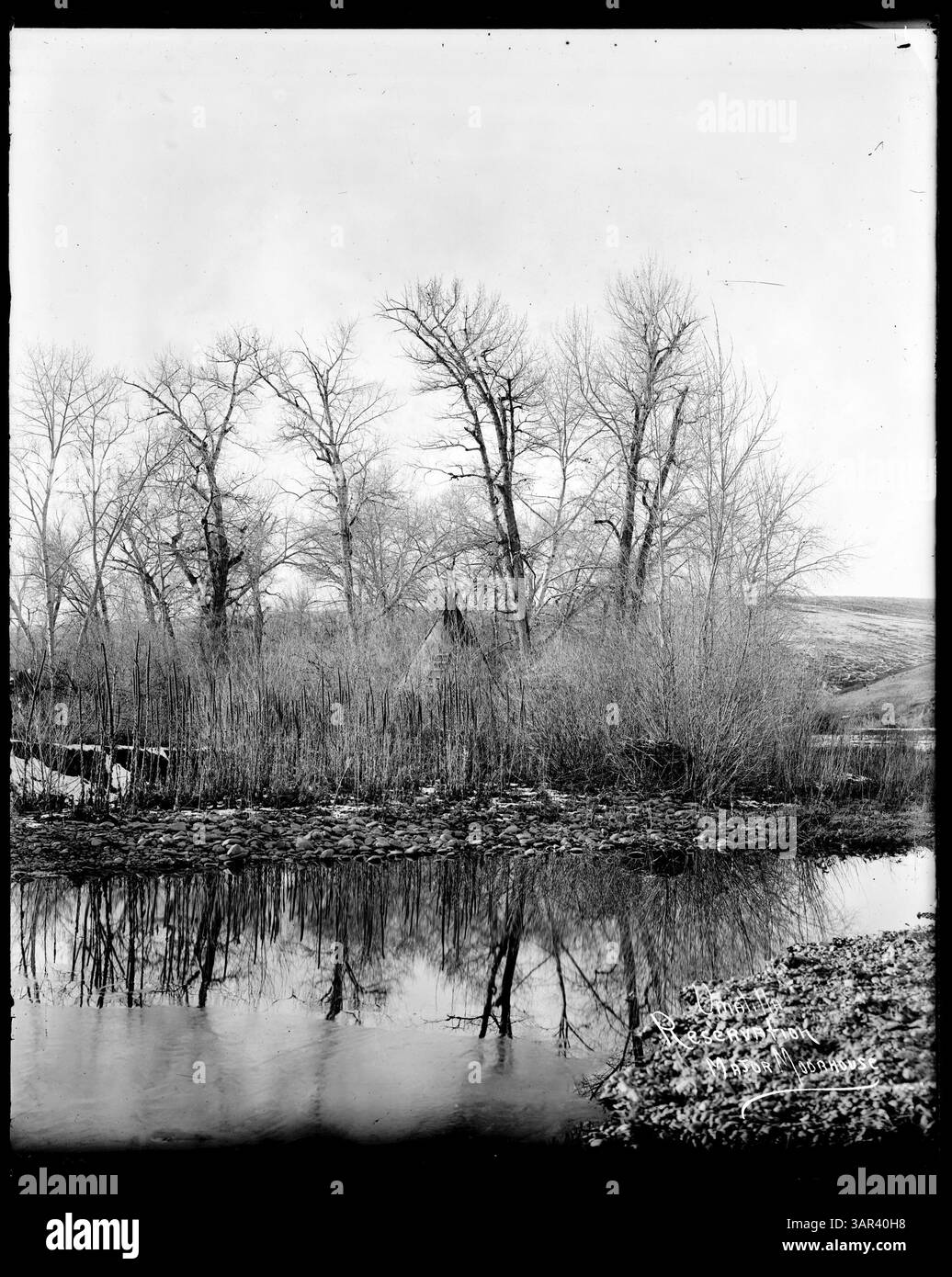 This photograph depicts camps on the Umatilla Indian Reservation ...