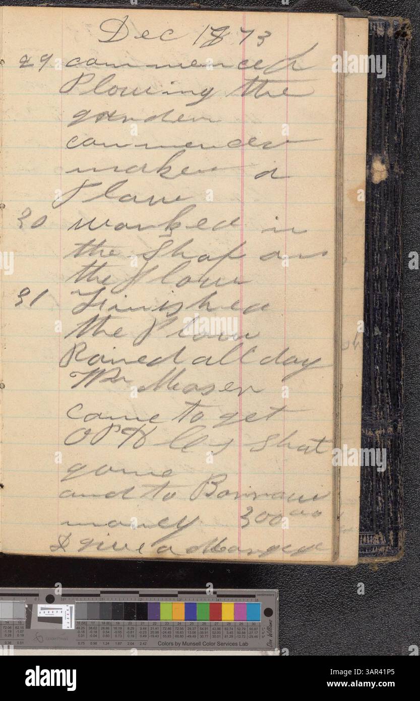 This diary, spanning from June 24, 1872, to September 30, 1874, offers ...