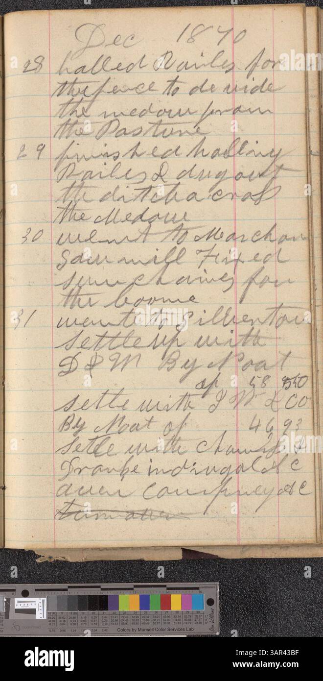 This diary, from Jan. 1, 1870, to June 29, 1872, records daily ...