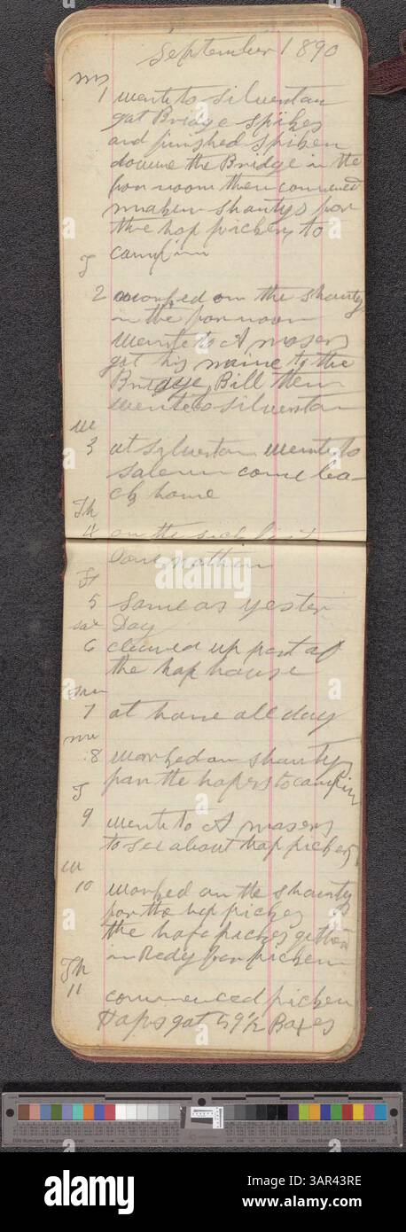 This 1888-1891 diary features daily entries detailing activities ...
