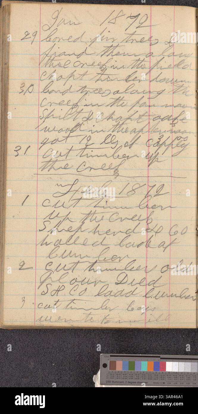 Spanning January 1, 1870 to June 29, 1872, the diary entries highlight ...