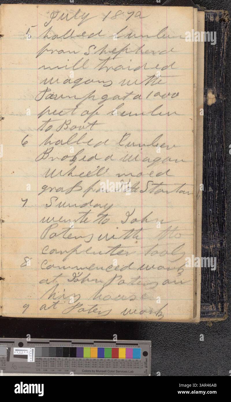 The diary from June 24, 1872, to September 30, 1874, includes daily ...
