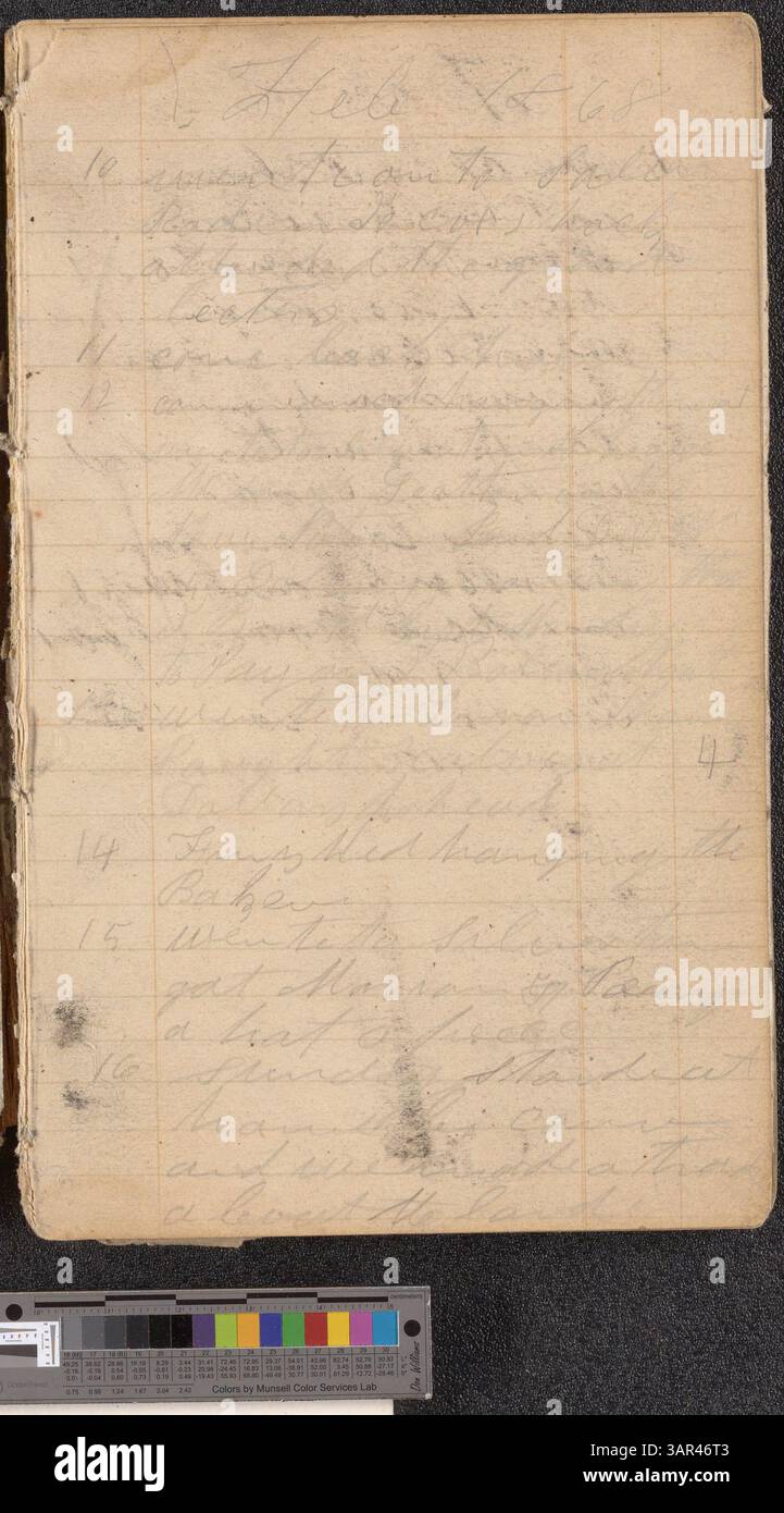 The 1868-1869 diary features a collection of daily entries, financial ...