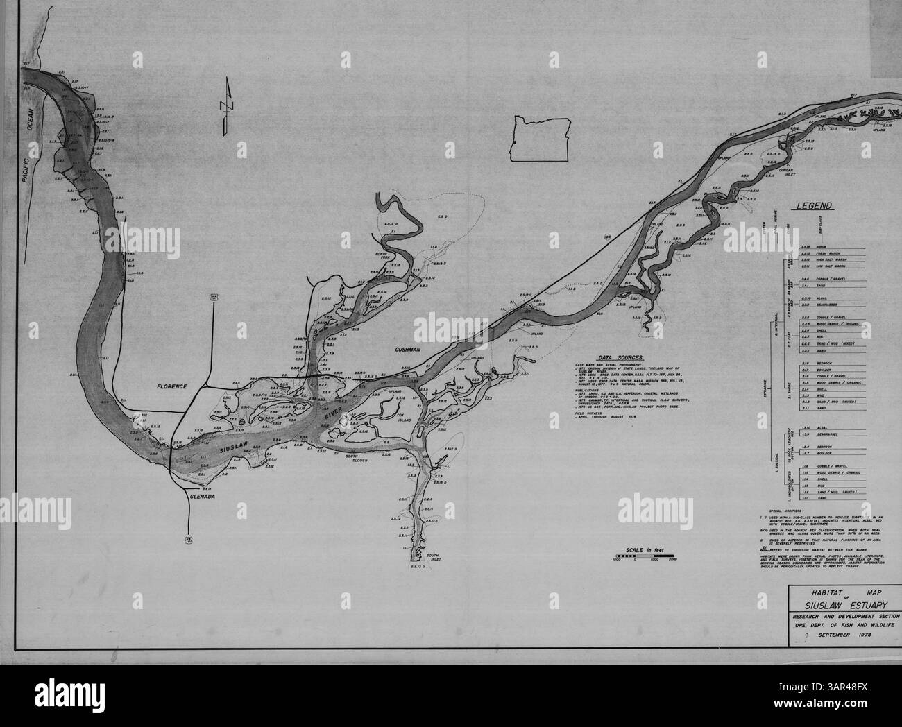 This habitat map of the Siuslaw Estuary provides detailed environmental ...