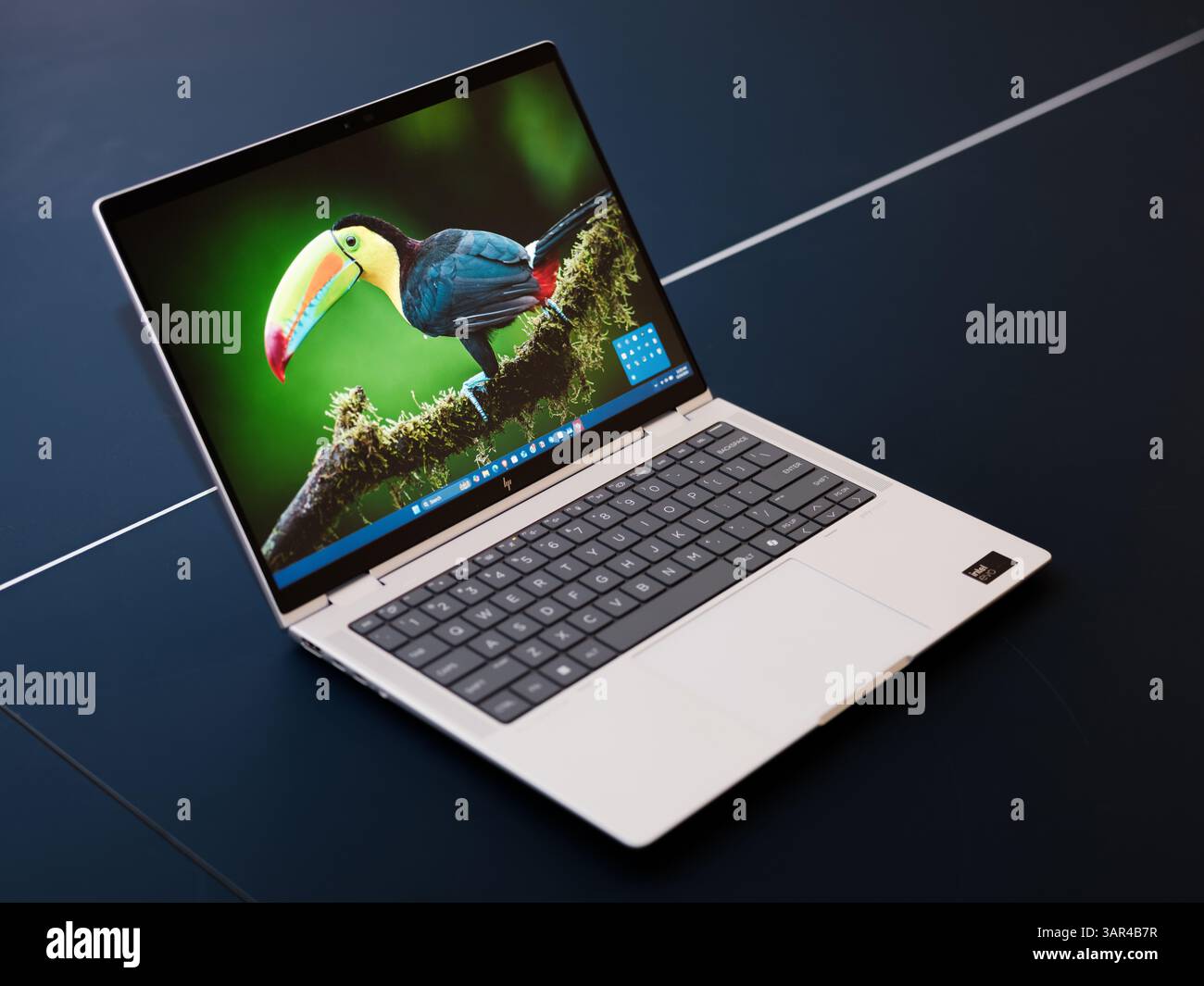 HP Probook Elite Laptops Stock Photo - Alamy