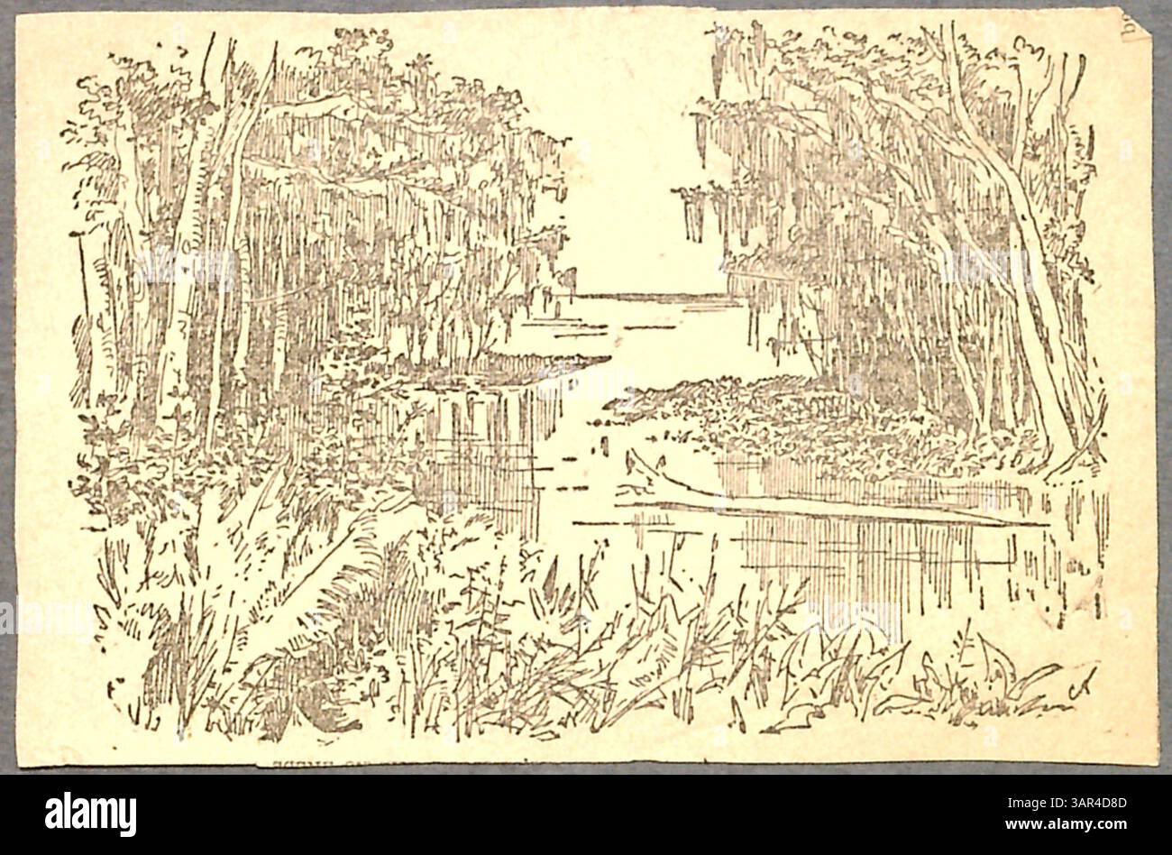 This newspaper engraving from the Thomas Butler Gunn Diaries depicts a ...