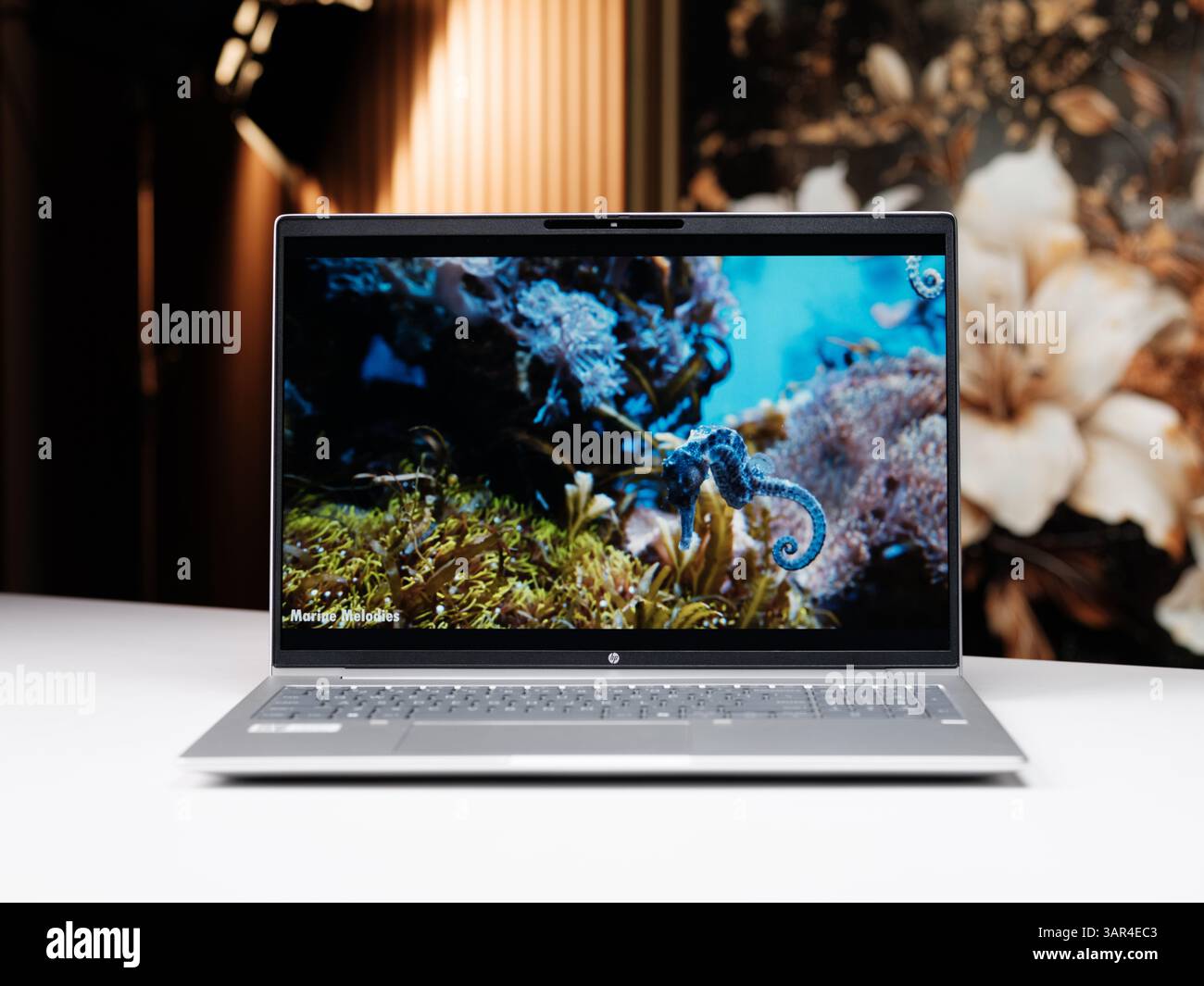 HP Probook Elite Laptops Stock Photo - Alamy