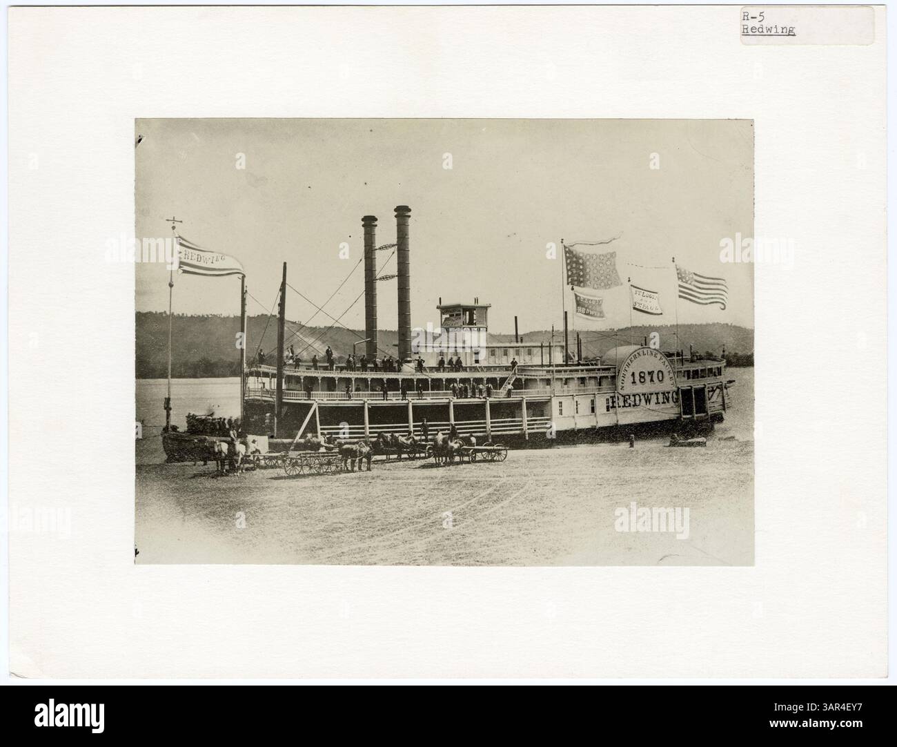 Steamboat redwing hi-res stock photography and images - Alamy