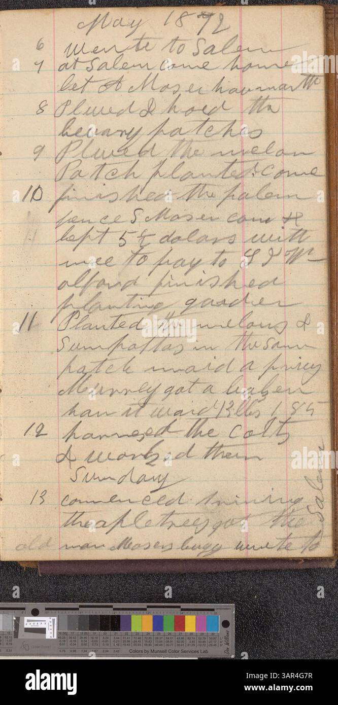 This diary, from Jan. 1, 1870, to June 29, 1872, records daily ...