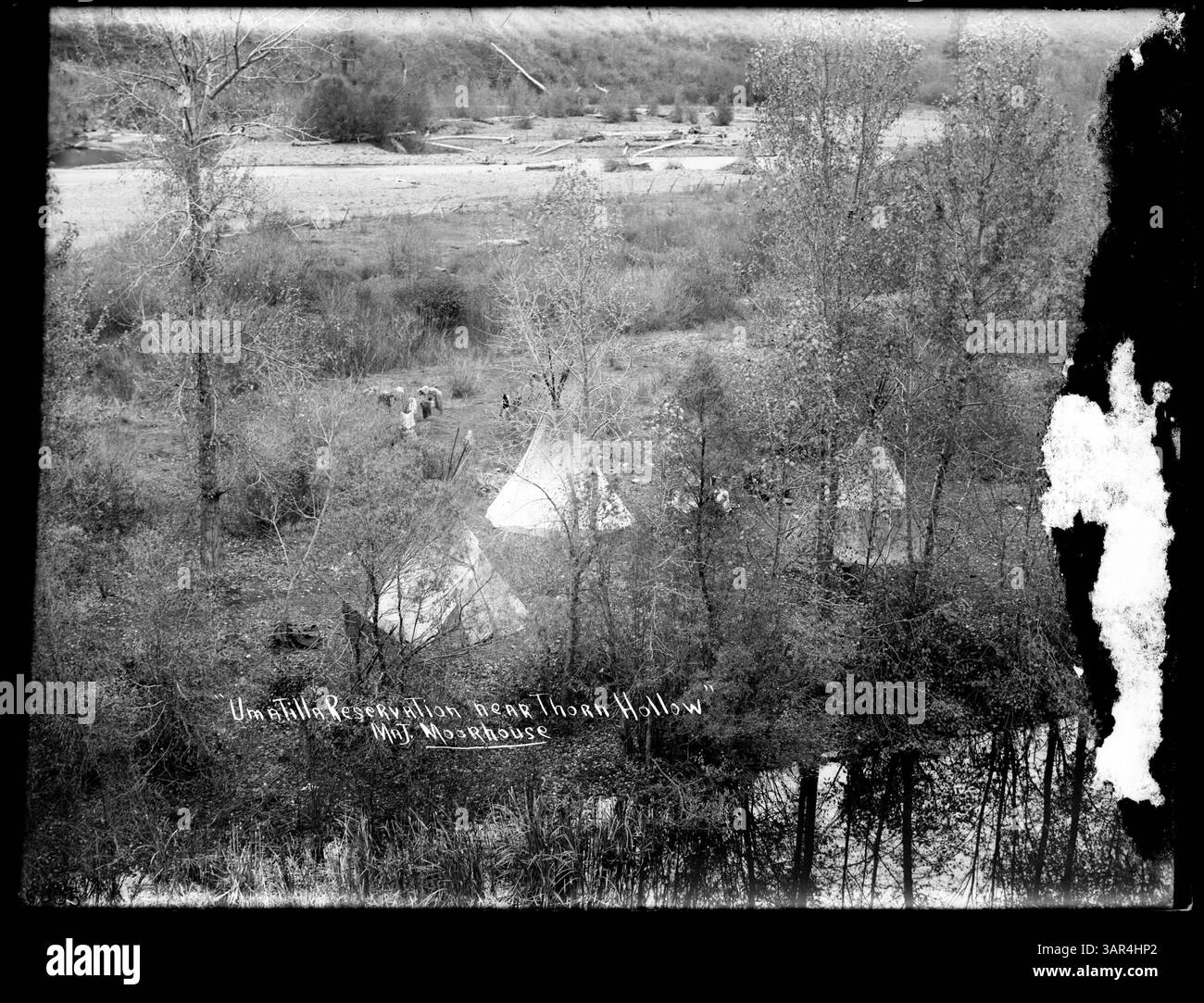 This photograph by Lee Moorhouse shows camps on the Umatilla Indian ...