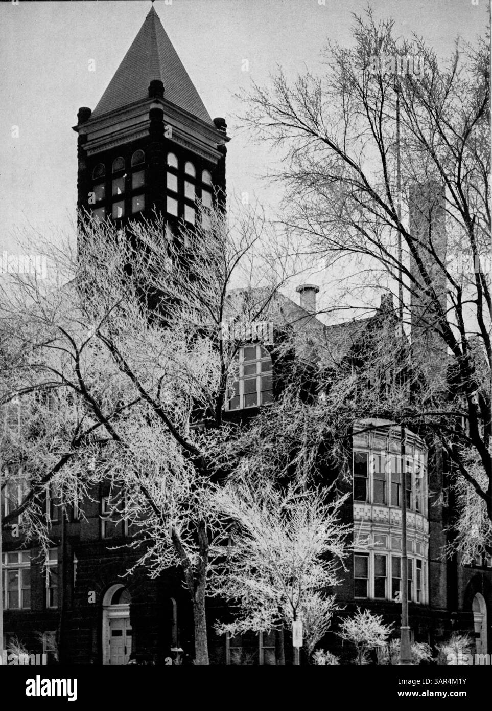 The 1946 'Tiger' yearbook from South High School captures students ...
