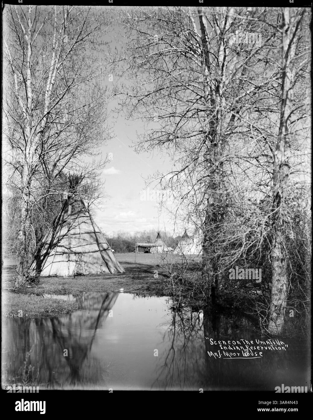 Photo of camps on the Umatilla Indian Reservation, taken by Lee ...