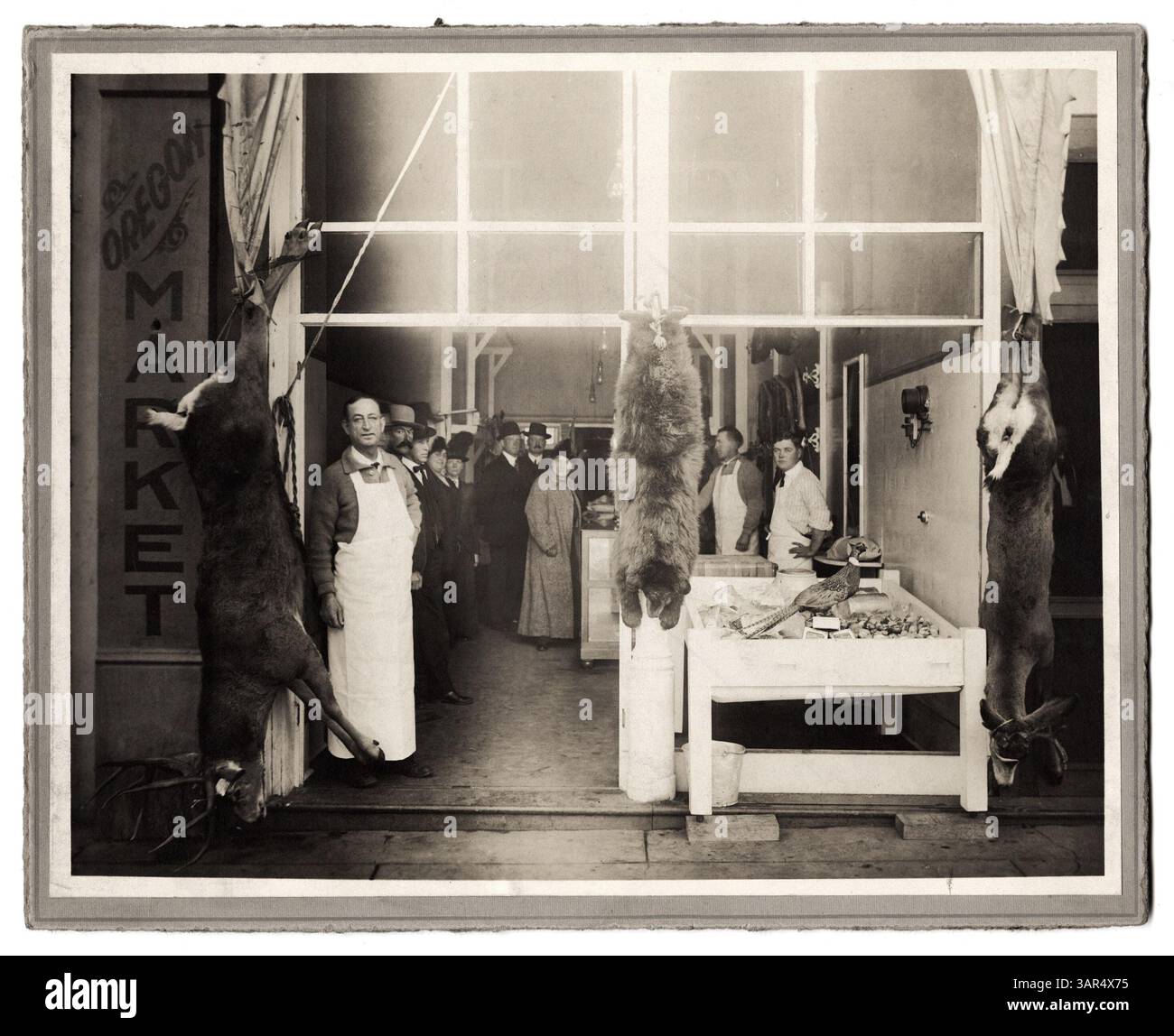 Black bear sits in Cut Out Stock Images & Pictures - Alamy