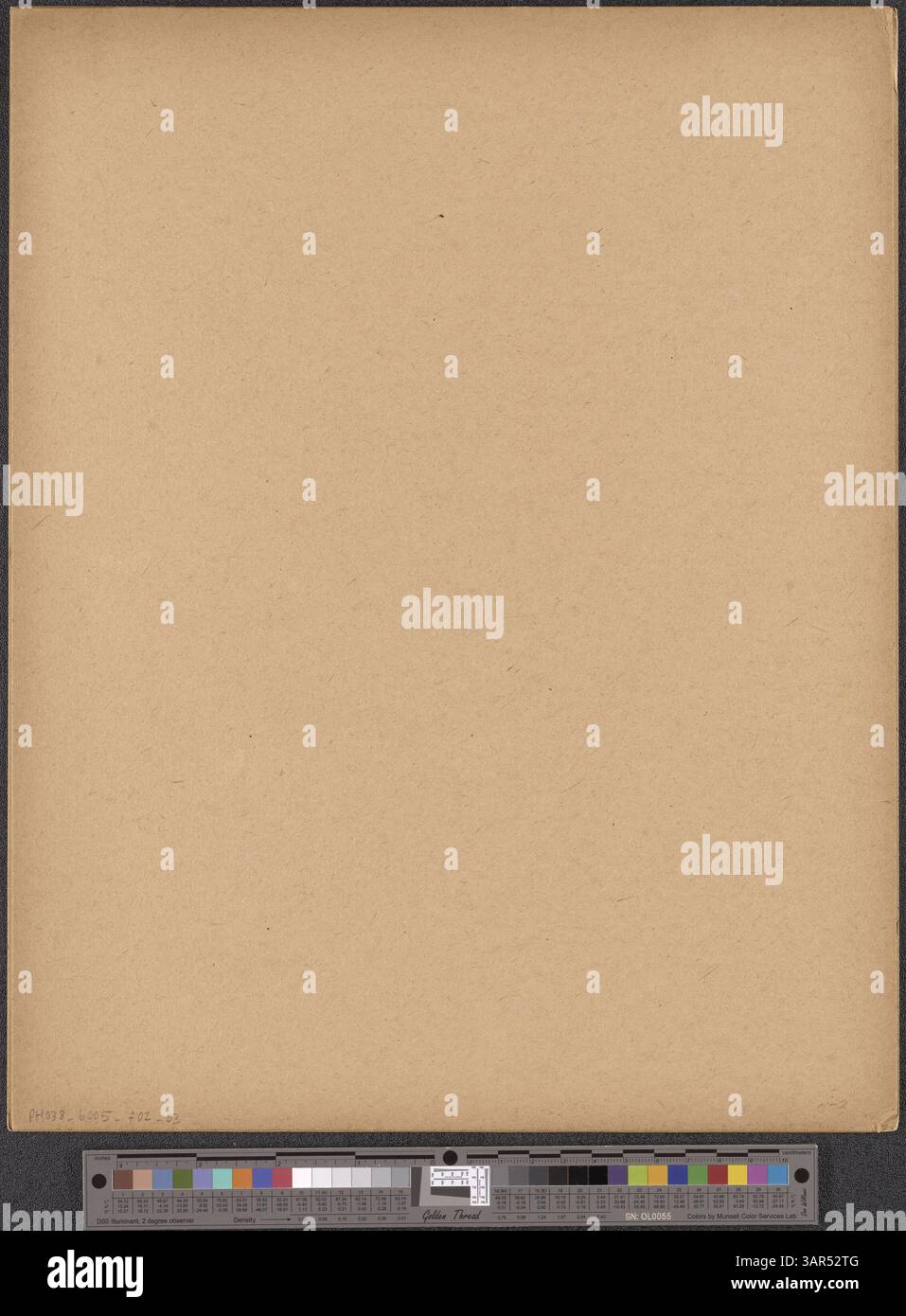 This photograph, from the Doris Ulmann collection, shows Dewitt Stetten ...