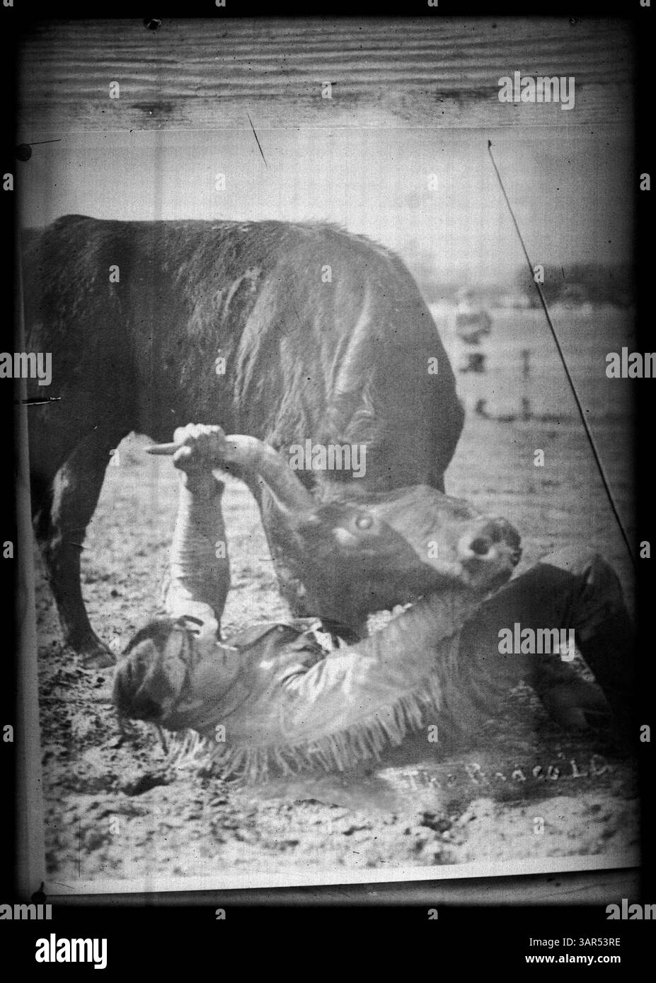 This photograph by Lee Moorhouse captures a bull dogger in action ...