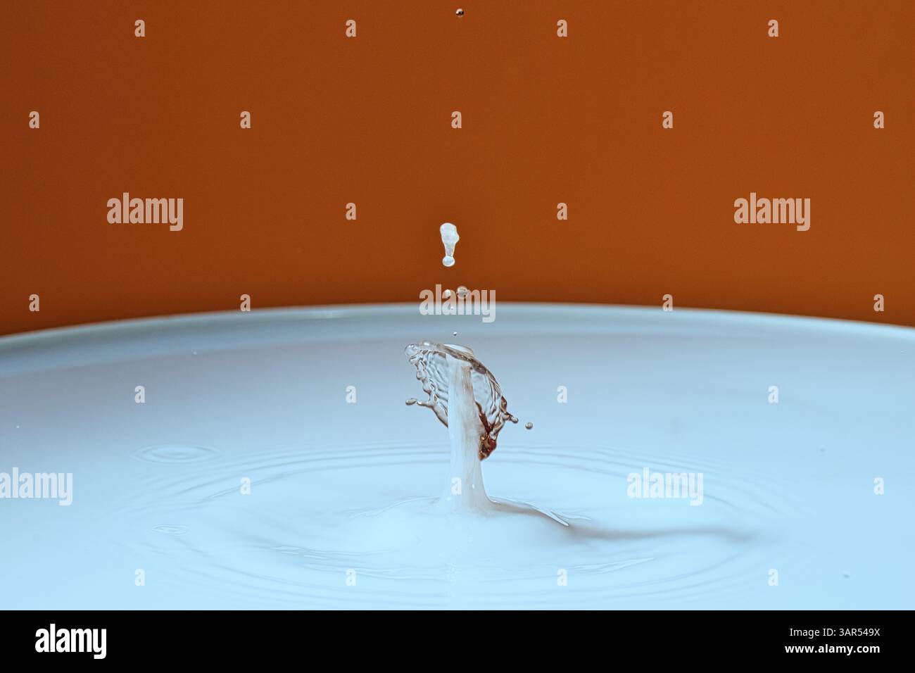 Some water droplets splash up from the surface, all against an orange ...