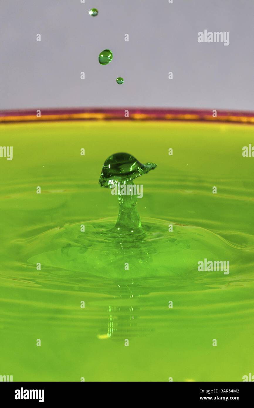 A green drop of water rises dynamically and is reflected in the liquid ...