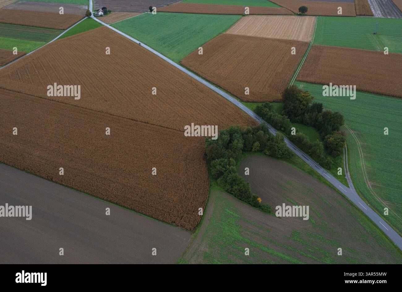 Grain field lanes from hi-res stock photography and images - Alamy