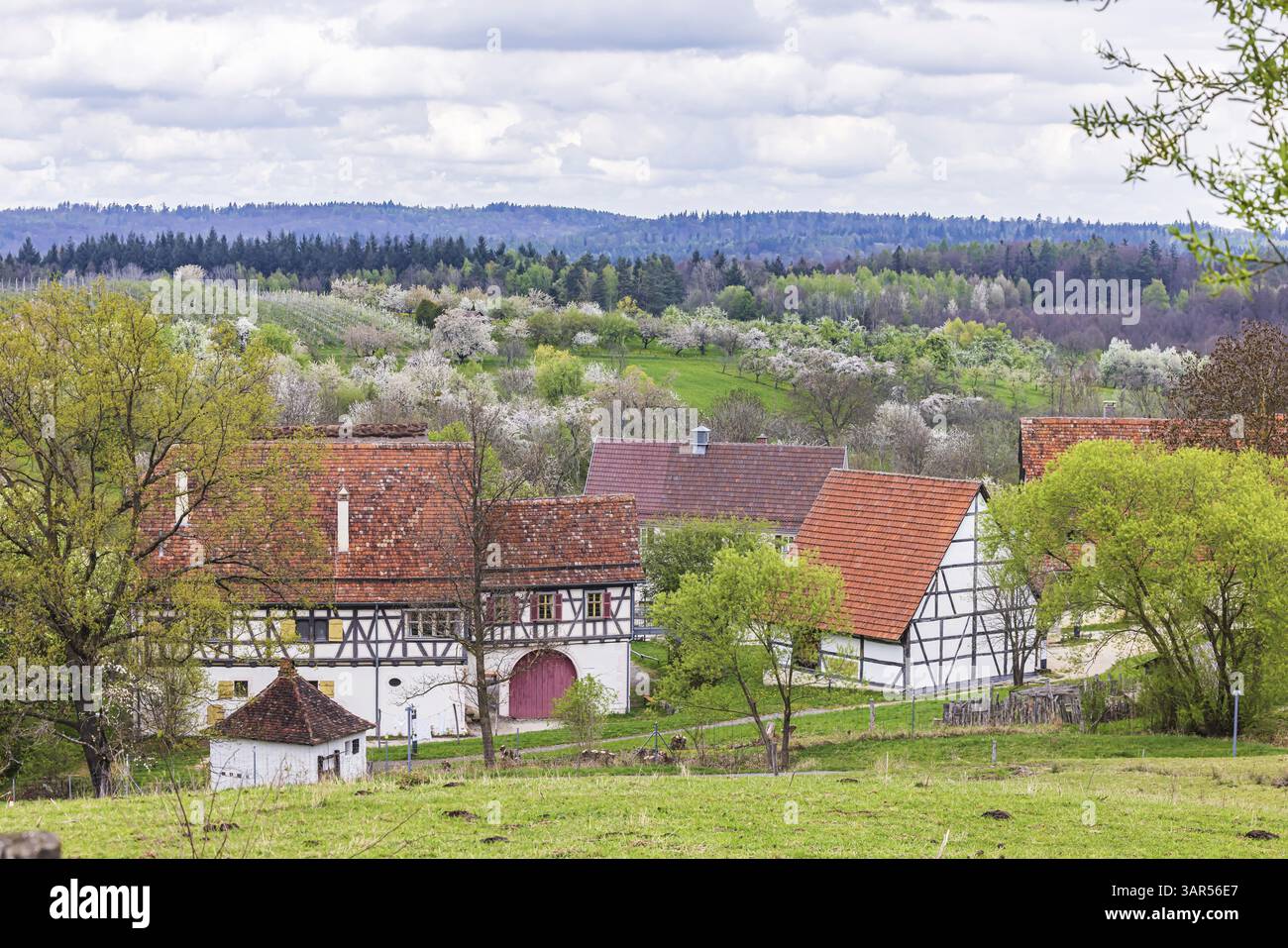Historic village buildings. Half-timbered farmhouse in the open-air ...
