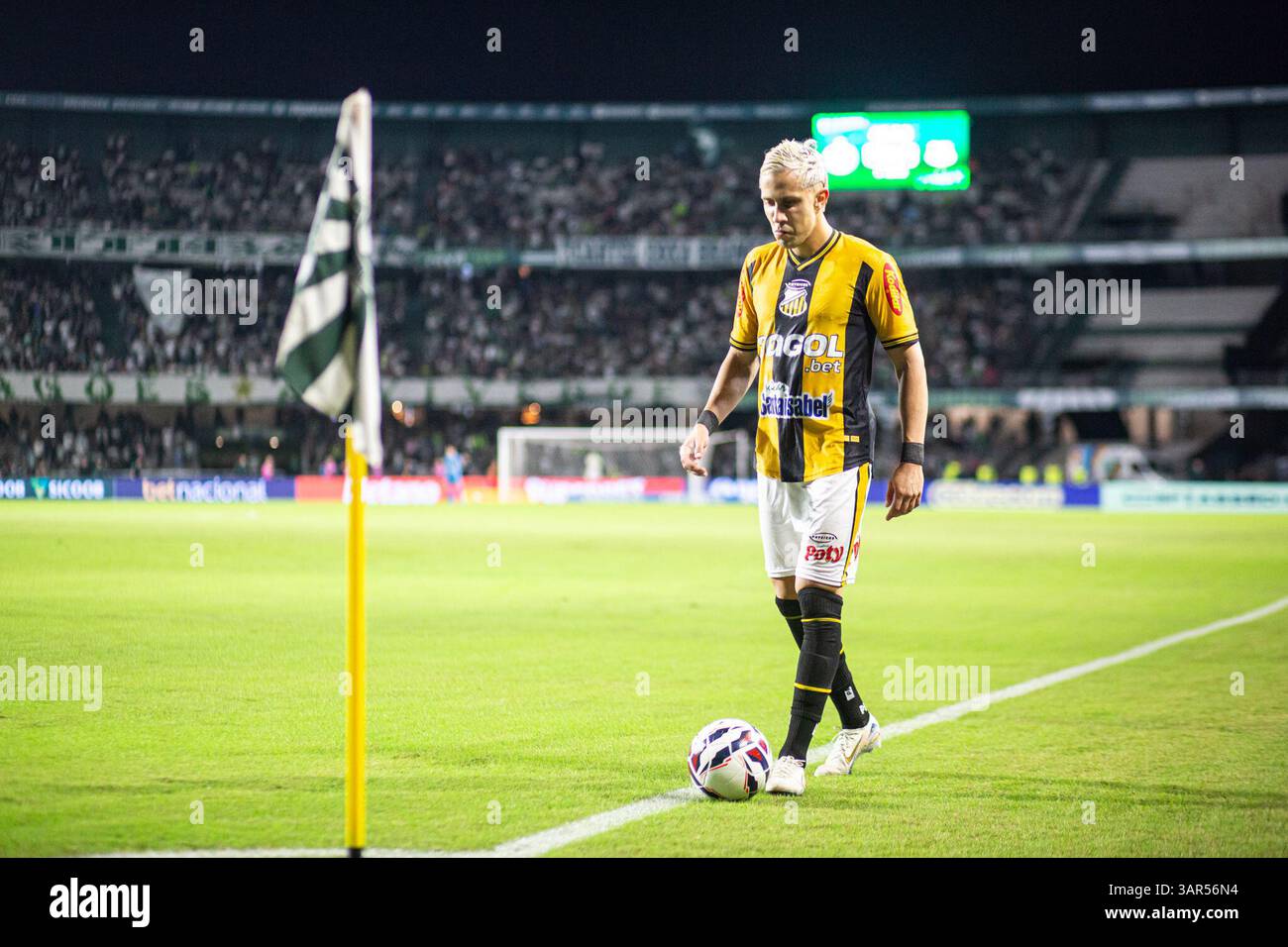 Curitiba, Brazil. 16th Apr, 2025. PR - CURITIBA - 04/16/2025 ...