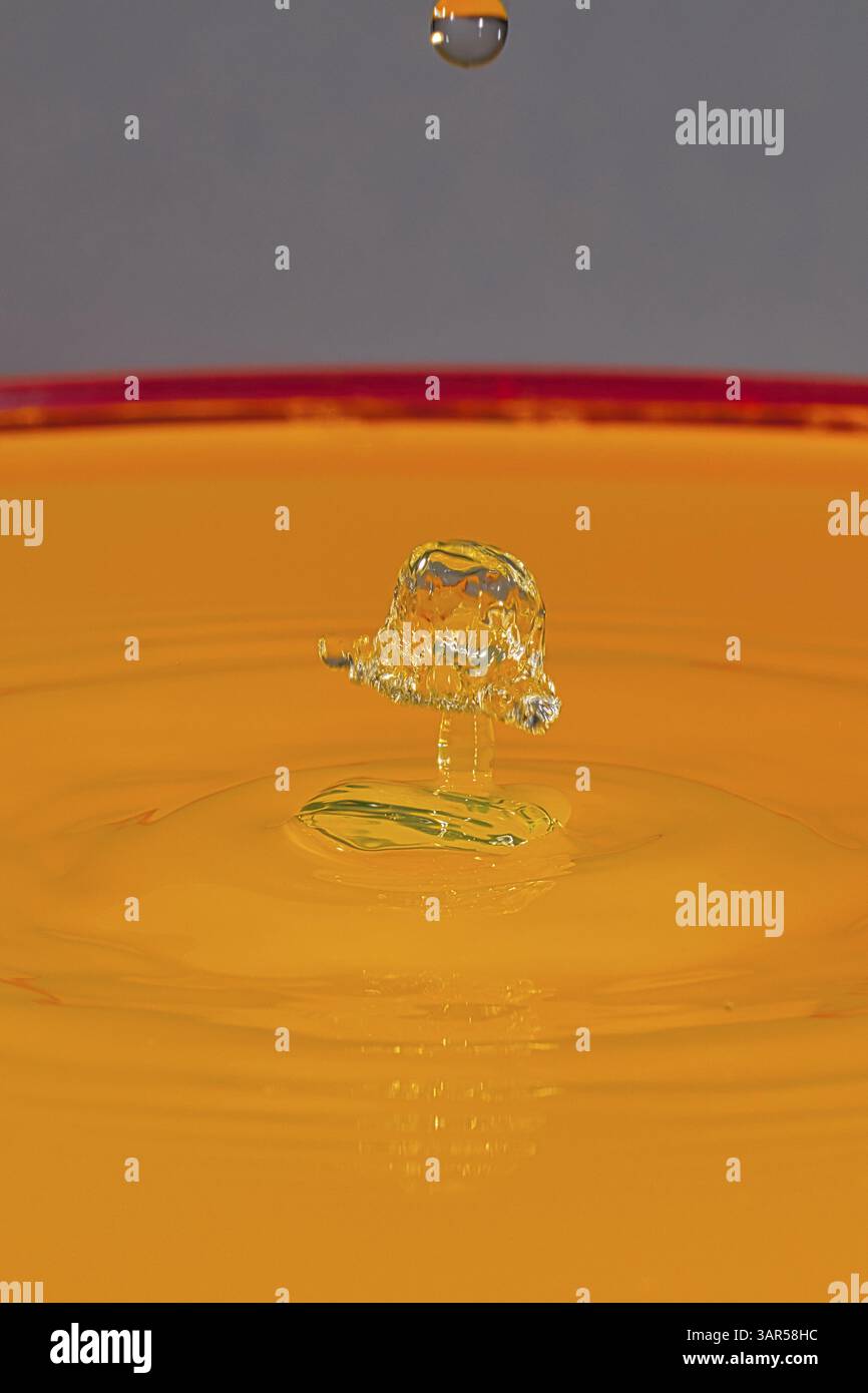 A drop of water forms a sculpture-like figure on an orange surface ...