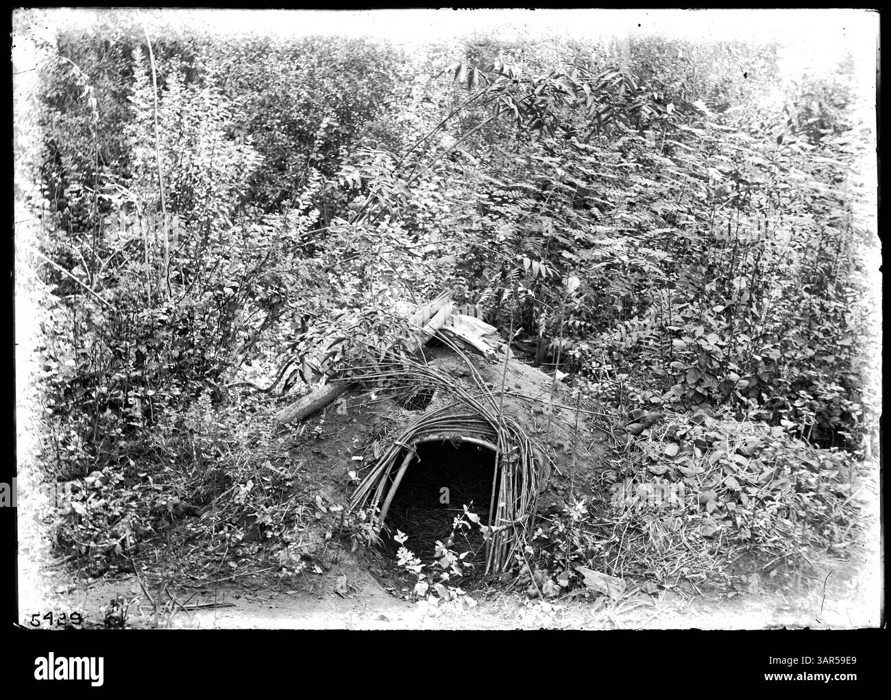 Photograph of sweat houses on the Umatilla Reservation. The image ...