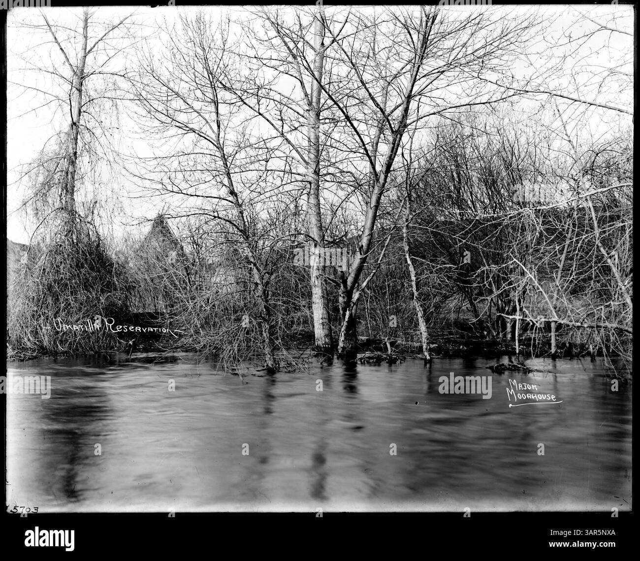 This photograph shows individual Indian camps on the Umatilla Indian ...